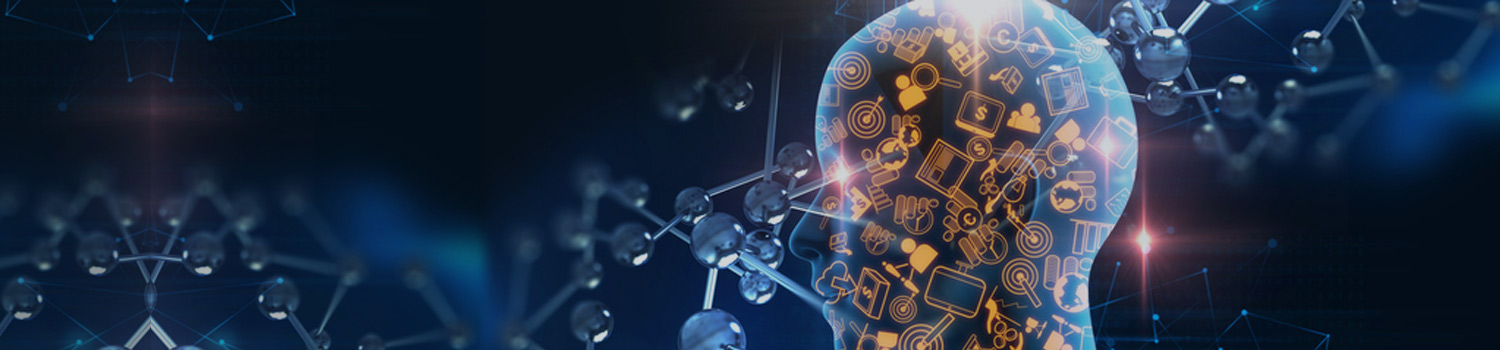 NPCL : NOIDA POWER COMPANY LIMITED